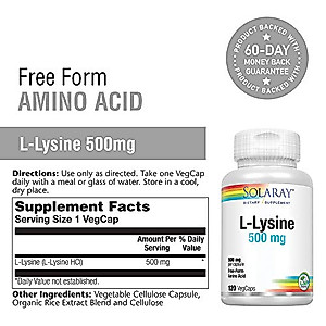 SOLARAY L-Lysine 500mg | Amino Acid | Healthy Cognitive, Immune System & GI Function, Bones, Joints & Skin Support | 120 VegCaps