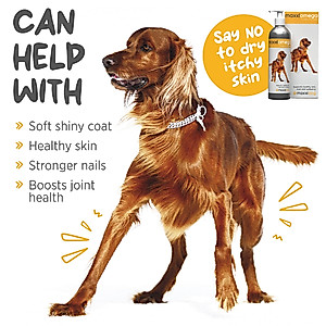 maxxipaws maxxiomega Omega 3, 6 & 9 Oil Supplement - Skin & Coat Support for Dogs, 10oz