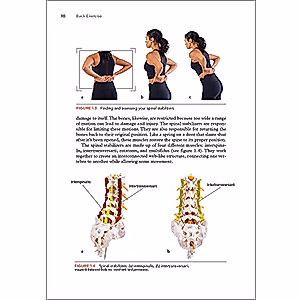 Back Exercise: Stabilize, Mobilize, and Reduce Pain
