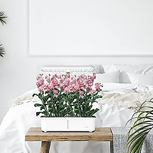 Hydroponics Growing System, REMOSSY 14 Pods Indoor Garden with 5L Water Tank & Pump, Adjustable Height Up to 16.5" LED Light, 3 Modes Smart Herb Garden Kit Plant Germination Kit for Home Kitchen APP