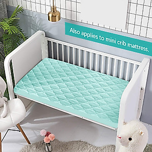 Pack n Play Sheet Quilted Waterproof Protector, 2 Pack Premium Fitted Pack n Play Pad Cover 39" X 27" fits for Baby Foldable and Playard Mattress, Portable Mini Crib, Gray&Aqua