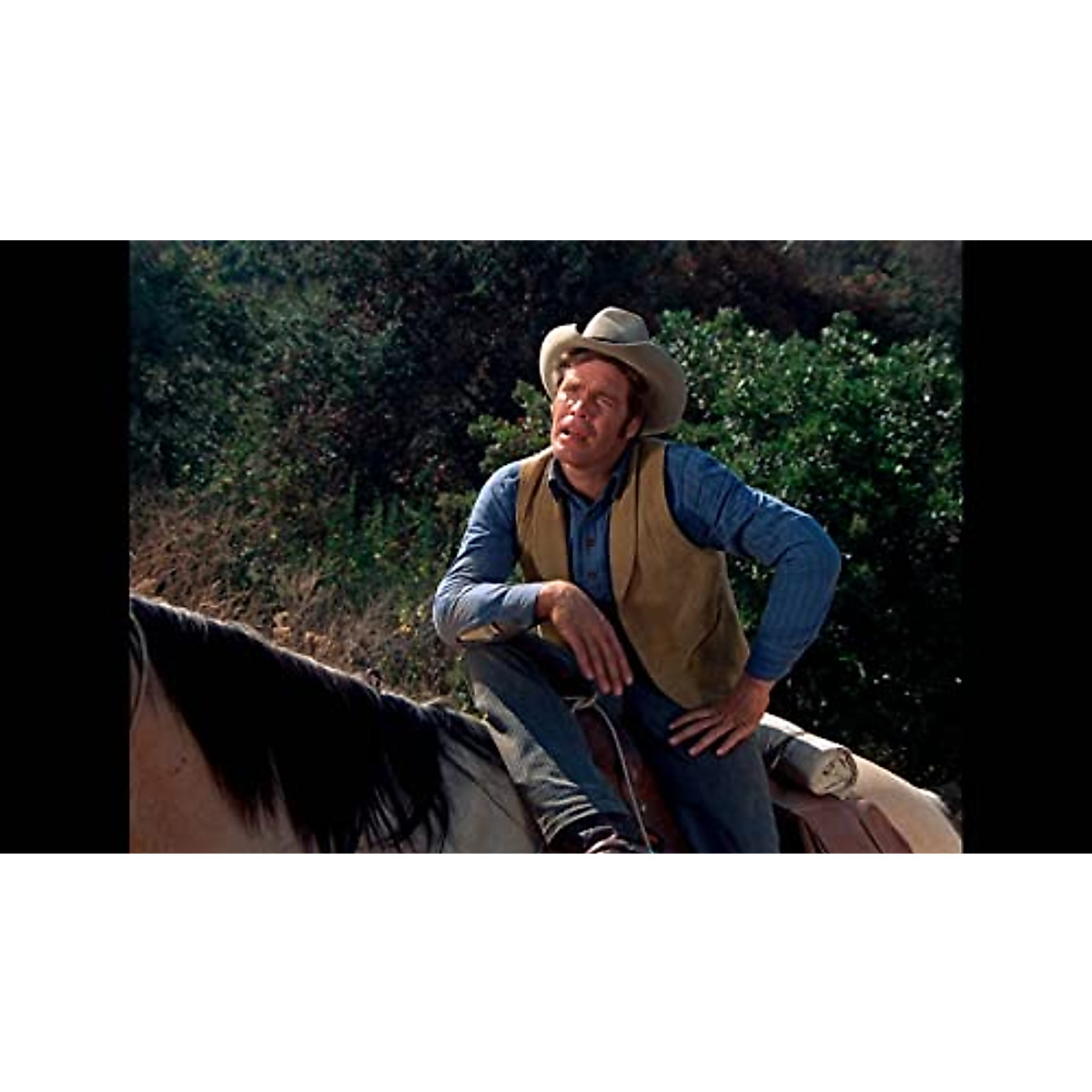 Die Leute von der Shiloh Ranch - Staffel 7 (HD-Remastered) (Fernsehjuwelen) (9 DVDs)