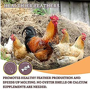 PICKY NEB 100% Non-GMO Dried BSF Larvae Grubs (5 lbs) Bulk - Chicken Treats & Molting Supplement - High-Protein Immune System Booster Snack for Chickens - 85x More Calcium Than Mealworms