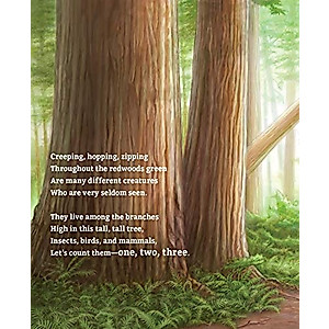 Tall Tall Tree: A Nature Book for Kids About Forest Habitats (A Rhyming Counting Book with STEAM Activities)