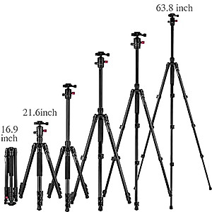 ZIKZOK Professional 62" DSLR Tripod Camera Tripods with Phone Holder for Travel, Super Lightweight and Reliable Stability, Ball Head Tripod Detachable Monopod with Carry Bag (Black)