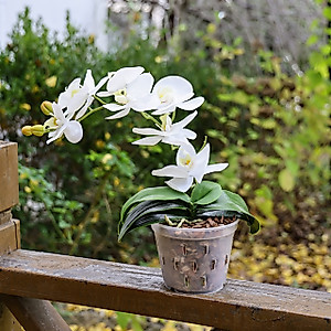 TRUEDAYS Orchid Pots with Holes Plastic Flower Plant Pot Clear Plastic Orchid Pot for Indoor Outdoor,2 Each of 4.5 Inch/5.5 Inch/7 Inch - 6 Pack