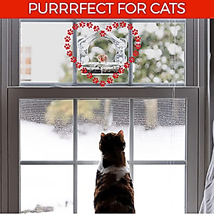 Nature Anywhere Premium Clear Plastic Window Bird Feeder for Outside - Window Bird Feeders with Strong Suction Cups - Transparent Bird Feeder Window Mount Acrylic Bird House for Cat Window Perch