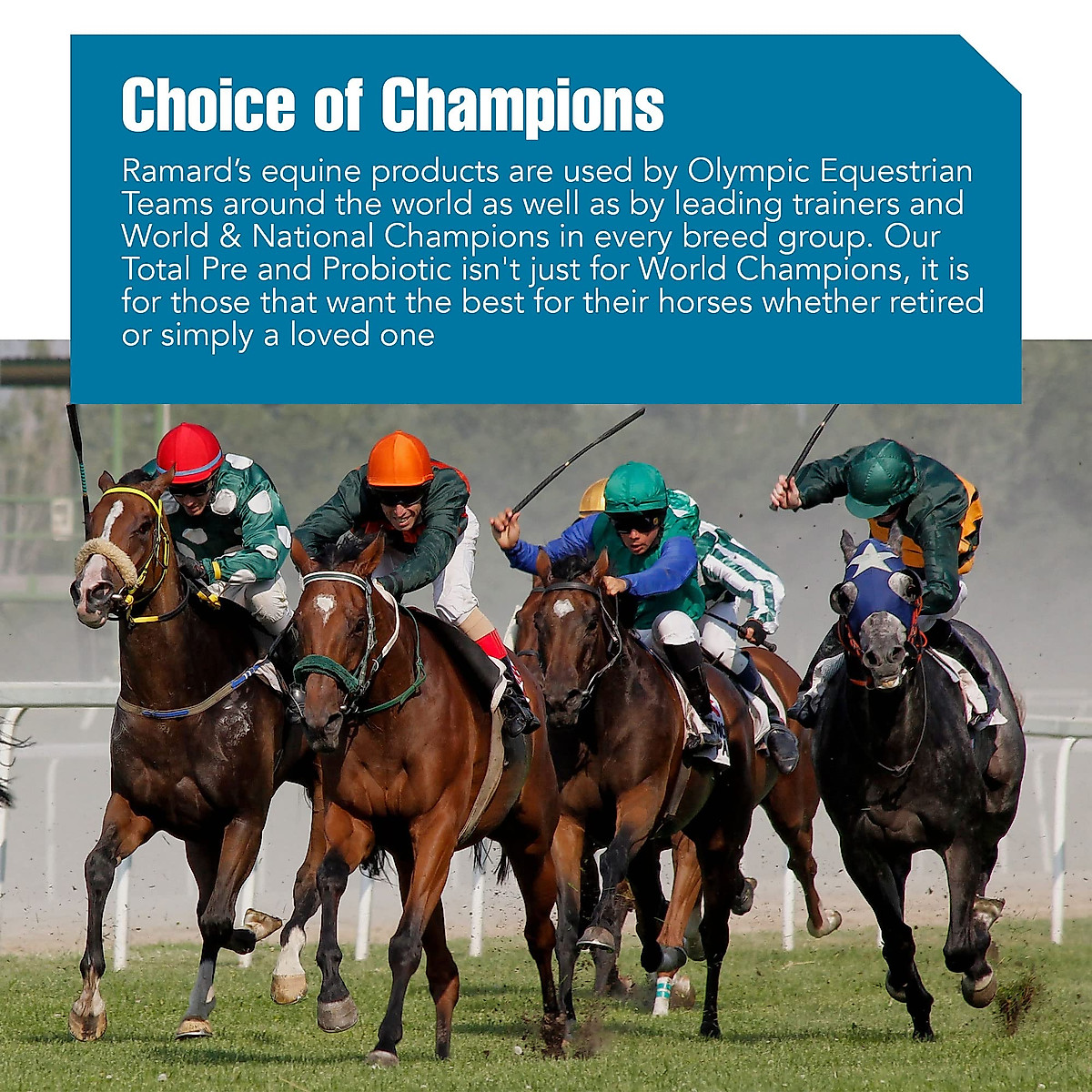 Ramard Total Prebiotic & Probiotic Equine Formula - Natural Digestive Supplement for Horses Optimal Gut Health, Nutrient Absorption, Foal Support Pro & Pre Biotics for Livestocks and Horse 5 lbs Jar