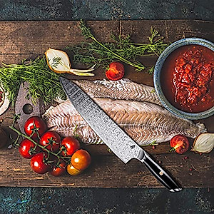 TUO Chef Knife 10 inch - Pro Kitchen Cooking Knife, AUS-8 Japanese Stainless Steel Chef's Knife with Ergonomic G10 Handle, Japanese Gyuto Knife with Gift Box - FALCON S SERIES