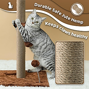 34'' Tall Palm Cat Tree, Cat Scratching Post, Kitten Cat Scratch Cute Scratcher for Indoor Cats with Hanging Dangling Toy Balls for Large Cats and Kittens, Brown