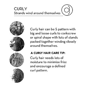 Vernon François Shampoo For Curly Hair - Natural Sulfate Free Curl Shampoo with Shea Butter, Coconut and Castor Oil to Revitalize Your Curls 8.5oz