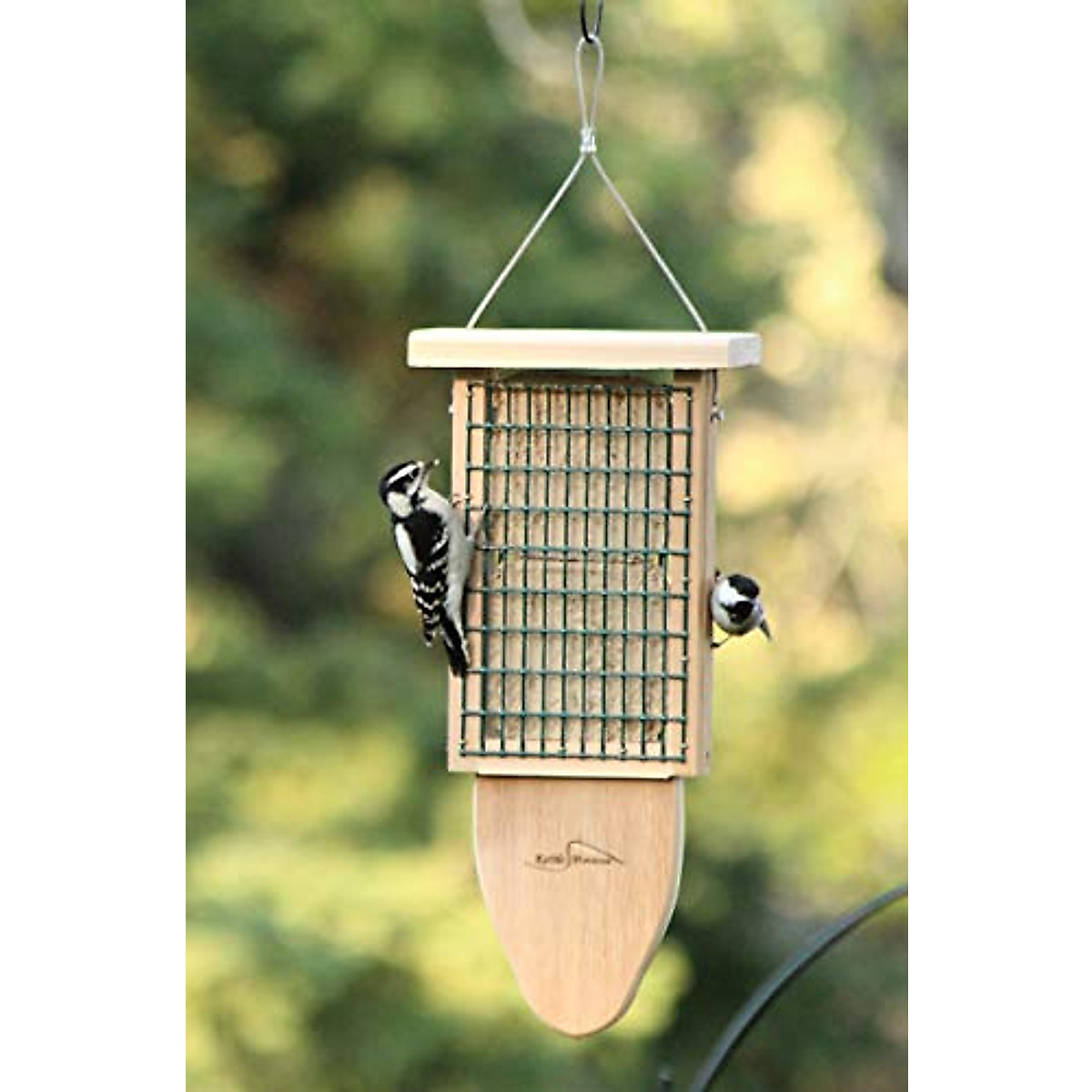 Kettle Moraine Cedar Double Suet Cake Tail Prop Suet Bird Feeder with Hanging Cable
