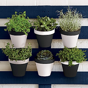 Krylon K05546007 COLORmaxx Spray Paint and Primer for Indoor/Outdoor Use, Flat Black , 12 Ounce (Pack of 1)