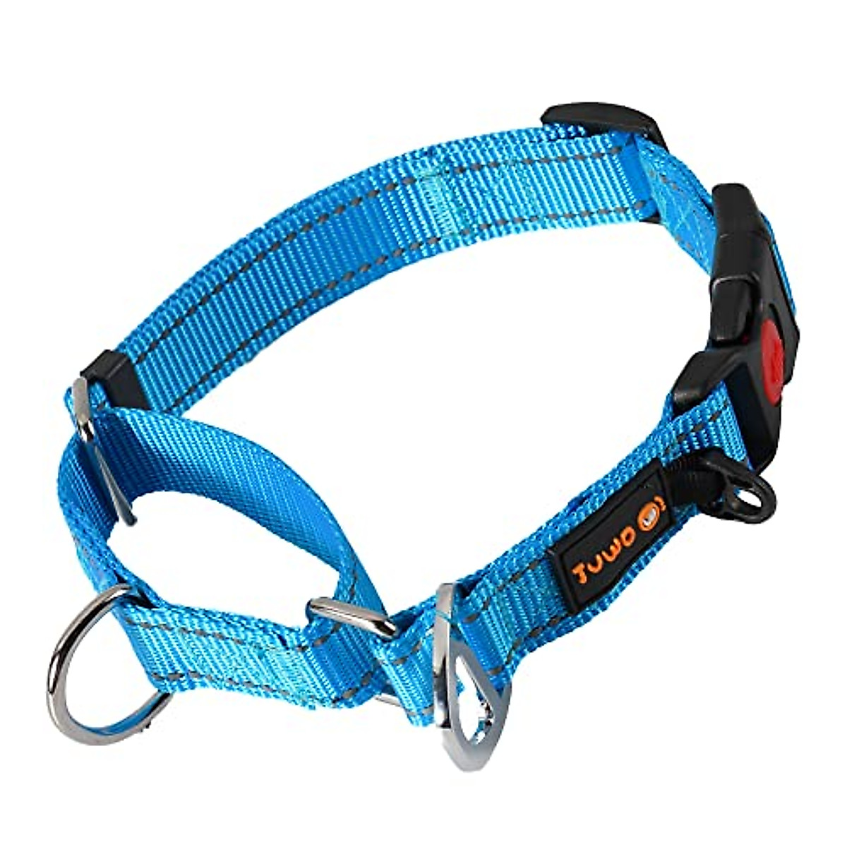 JuWow Nylon Martingale Collar, Adjustable Pet Slip Collar with Breakaway Buckle for Medium Large Dogs, Reflective Stitching Collar for Safe Training Walking (Large:17-22" * 1", Blue)