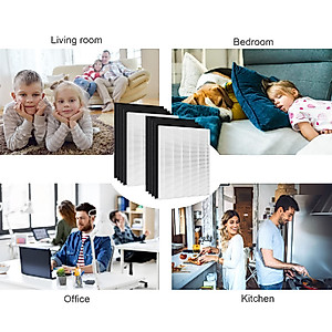 Nyingchi D480 Replacement Filter D4, Compatible with Winix D480 Air Purifier, D4 Filter,Part No. 1712-0100-00, Includes H13 Grade True HEPA and Activated Carbon Filters(2+8)