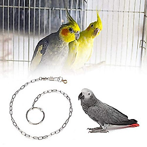 ViaGasaFamido Bird Leash, Stainless Steel Bird Foot Chain with Ring Parrot Ankle Foot Ring Anti-bite Outdoor Flying Training Rope(Grey Parrot)