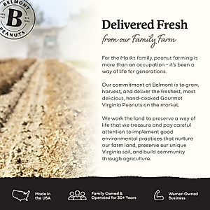 Belmont Peanuts Gourmet Sea-Salted Virginia Peanuts, 20 oz (Pack of 1) | Only 3 Simple Ingredients, No Preservatives, 7g Protein | A Premium, Salty, Crunchy, Hand-Seasoned, Peanut Snack