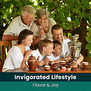 Herbaly Glucose Functional Tea - Vitality & Wellness - Gymnema Sylvestre, Ceylon Cinnamon, Bitter Melon, Dandelion Root, Fenugreek - Daily Teas - 1 Pack, 30 Plant-Based Pyramid Tea Bags