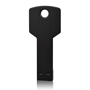 RAOYI 10 Pack 2GB USB Flash Drive USB 2.0 Metal Key Shape Memory Stick Thumb Drive Pen Drive-Black