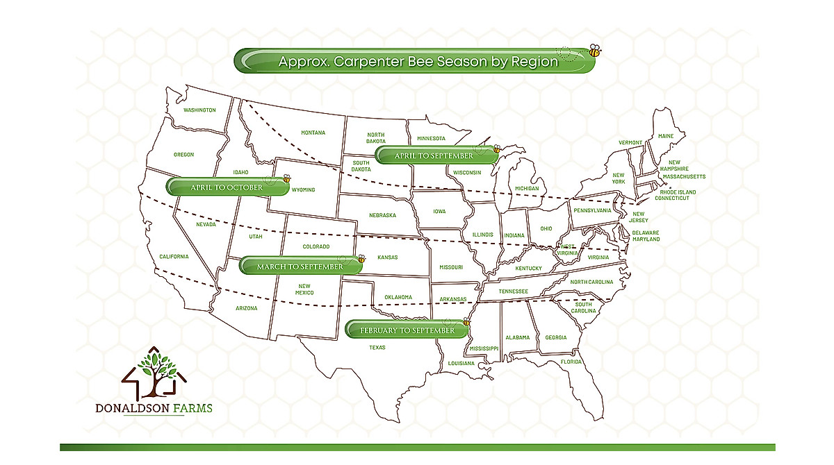 Repair Carpenter Bee Damage with Donaldson Farms Corks