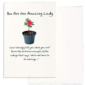 Blue Mountain Arts Greeting Card “You Are One Amazing Lady” is Perfect For a Mom, Daughter, Wife, Or Any Woman For Birthday, Anniversary, Mother’S Day, Or “Just Because,” by Douglas Pagels