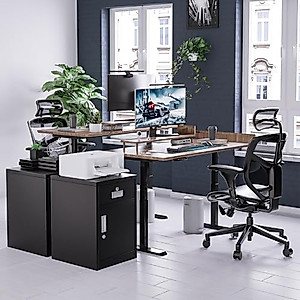 File Cabinet With Lock, Under Desk Locking Bookcase, Metal Filing for Home Office, Printer Stand (Black)