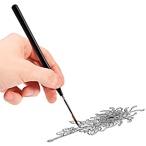 AIEX 9 Pieces Fine Detail Paint Brush Miniature Painting Brushes Kit Mini Paints Brush Set for Acrylic, Watercolor, Oil, Face, Nail, Scale Model Painting, Line Drawing(Black)