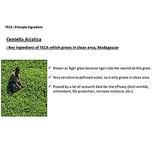 DONGKOOK CENTELLIAN 24 Micro Serum 50ml/1.69fl oz with TECA Tech. K-beauty