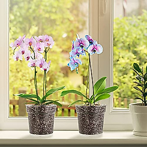 durony 12 Pack 4.5 Inches Clear Orchid Pots with Holes Flower Plant Pot Durable Plastic Planter with 12 Pieces Plant Labels Great Drainage for Seedlings Planting