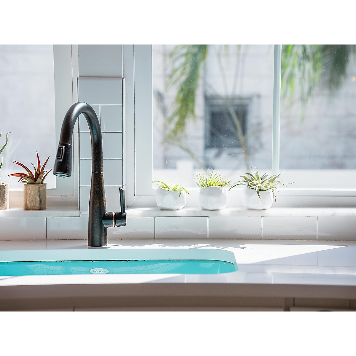 Air Plant Shop 3 Pack Mini Tillandsia Xerographica- Wholesale and Bulk - Succulents - Live Tillandsia - Easy Care Indoor and Outdoor House Plants