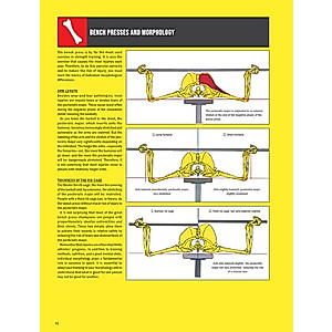 Strength Training Anatomy