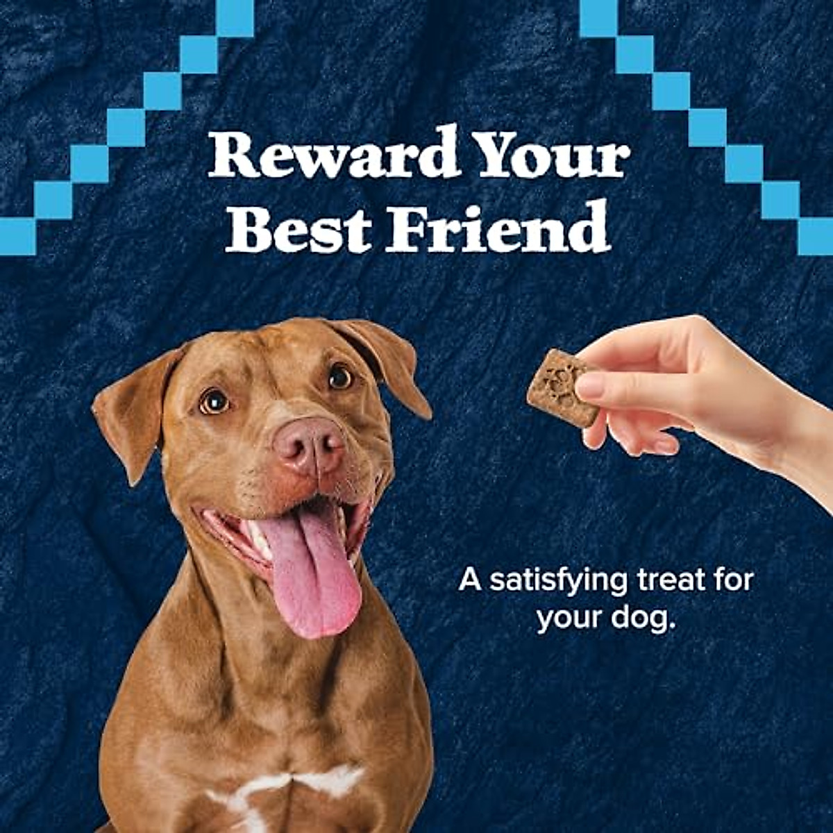 Blue Buffalo Wilderness Trail Treats High Protein Grain Free Dog Biscuits Crunchy Dog Treats, Duck Recipe, 24-oz Bag