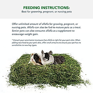 Viking Farmer Alfalfa Hay for Rabbits & Small Pets, 5 lbs