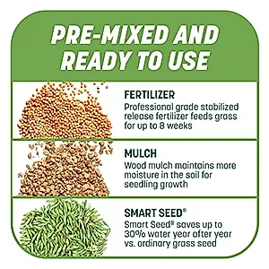 Pennington Smart Patch Tall Fescue Mix Jug 5 lb