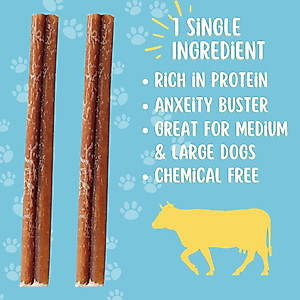 hotspot pets Bully Sticks 6 Inch- 10 Pack- Premium Natural Long Lasting Bully Sticks for Medium Dogs Beef Pizzle Treats - Grain Free Fully Digestible Rawhide Alternative Stix