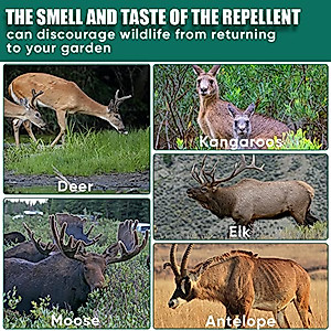 SEEKBIT 4 Pack Deer Repellent | Rabbit Repellent | Deer Rodent Chipmunk Deterrent for Tree, Plant | Deer Repellent Deer Off Away from Garden, Yard, Lawn, Garage | Waterproof Long Lasting Outdoor