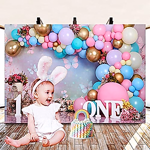 Pink Gold Balloon Girl First Birthday Party Backdrops Sweet One Wonderland Flowers Butterfly Photography Background Birdcage Princess Birthday Decorations Newborn Baby Shower Cake Smash Banner 7x5ft…