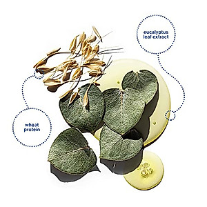 Pureology Hydrate Sheer Nourishing Conditioner | For Fine, Dry Color Treated Hair | Sulfate-Free | Vegan