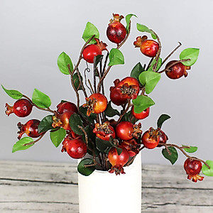 Group of 5 Artificial Rosehip Berries Simulation Pomegranate Fruit Floral Accessories (Red)