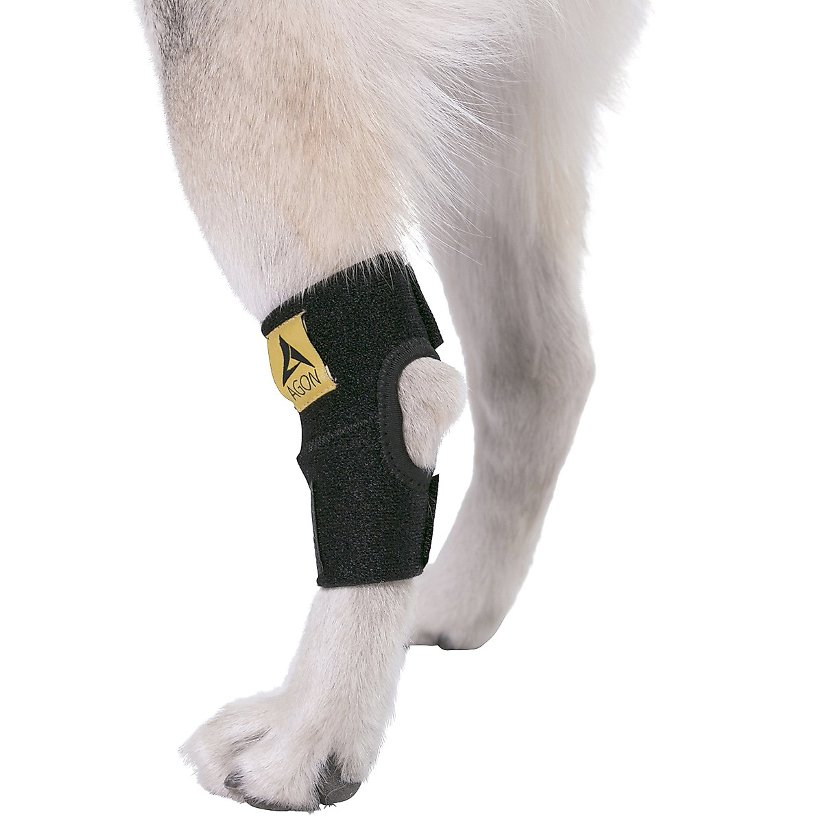 Agon® Dog Leg Braces For Back Leg wrap hock compression protects wounds and helps heal hind legs rear ankle joint, preventing injuries, sprains providing stability for dogs, canines arthritis (Medium)