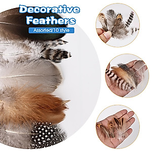 FeelfunFeather 300 pcs Small Feathers - 10 Style Mixed Spotted Decorative Natual Pheasant Feather for DIY Crafts Clothing Jewelry Hair Decoration