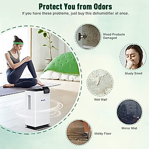 SEAVON 68oz Dehumidifiers for Home with Remote Controller, Ultra Quiet Dehumidifier for 660 sq ft, 2 Speed Modes, Breath Light Mode, Auto-Off, Perfect for Living Room, Bedroom, Bathroom, Closet, RV