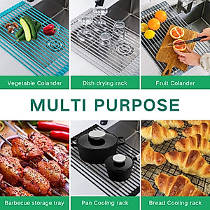 Roll Up Rack, Collapsible Dish Drying Rack-In The Sink Drying Mat-Multipurpose Dish Drainer-Rv Dish Drying Rack-Fruits and Vegetable Rinser-Durable Silicone Covered Stainless Steel Black, TECI TCF001B