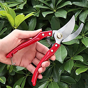 Generic Garden Secateurs Garden Scissors Pruning Shears Rust Proof High Carbon Steel SK5 Blade with Safety Lock Hand Secateurs & Pruning Scissors,Gold,One Size