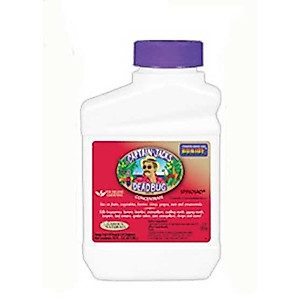 Captain Jack's Dead Bug Brew, Concentrate, Pint