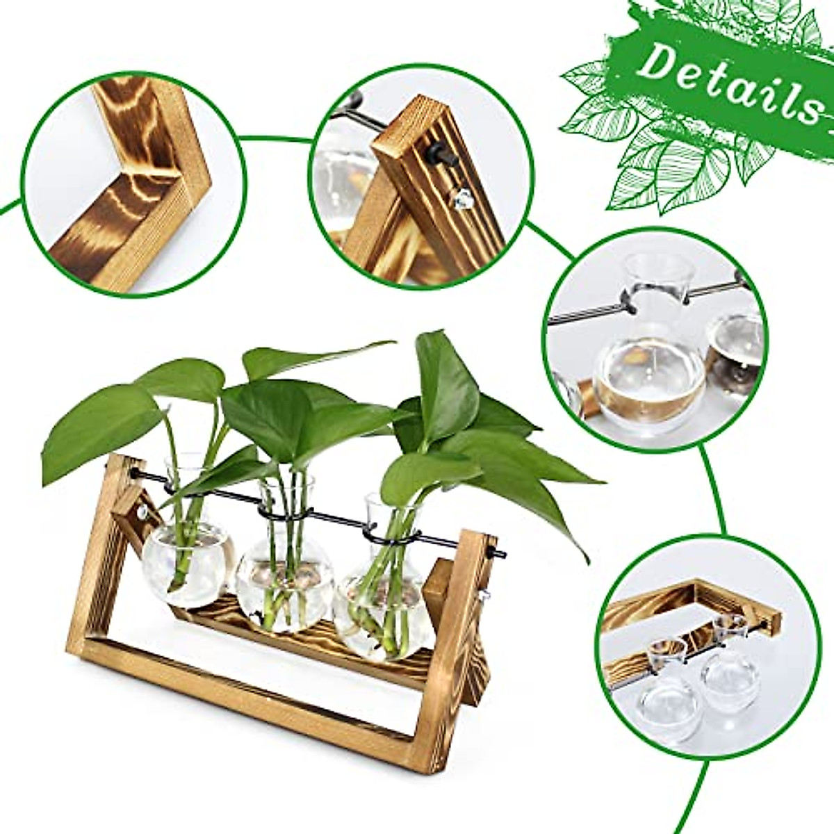 Plant Propagation Station,Plant Terrarium with Wooden Stand Desktop Air Propogation Planters Glass Vase for Indoor Hydroponics Water Plants Home Garden Office Decoration