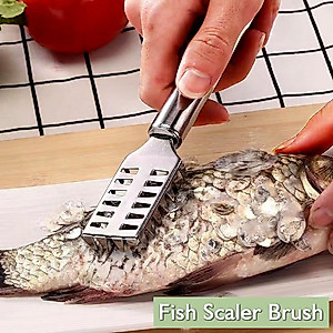 HANCOME 2 Pcs Fish Scaler Remover, 2-in Fish Maw Knife Stainless Steel Sawtooth Fish Skinner Descaler Tool Fish Scales Skin Removing Peeling for Kitchen Tool