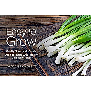 Green Onion Seeds for Planting - Tokyo Long White Bunching is A Great Heirloom, Non-GMO Vegetable Variety- 200 Seeds Great for Outdoor Spring, Winter and Fall Gardening by Gardeners Basics