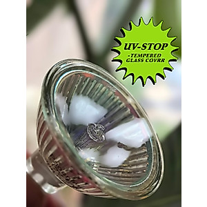 Phoenimax 6PCs MR16 12V 50W 800LM Halogen Bulb GU5.3 EXN Professional Quartz dichroic Reflector UV Stop Tempered Glass Cover dimmable for spot Lights Warm White 3000K