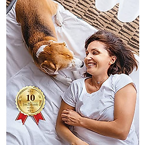 Queen Mattress Protector Noiseless,Mattressprotector Queen,Waterproof Mattress Cover Soft Breathable Cotton Terry for Pets Kids Adults 60" x 80"